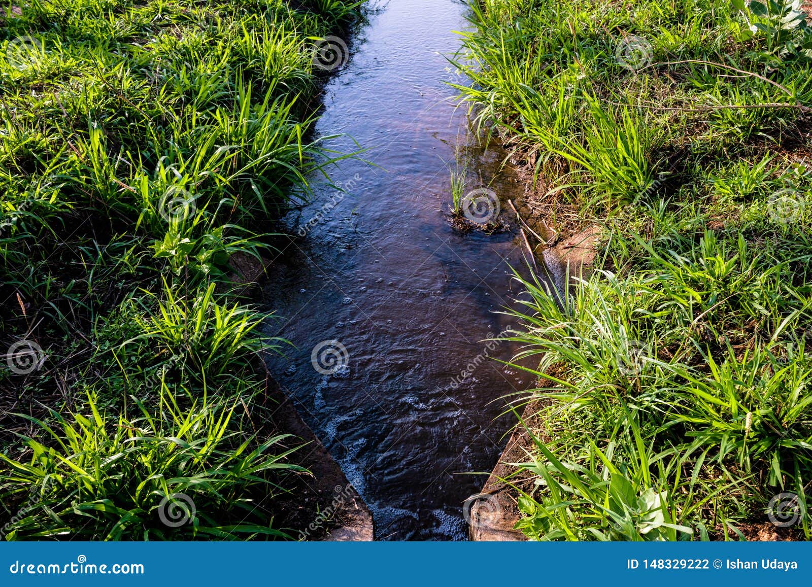 Irrigation Way for Agricultural Land Stock Photo - Image of canal, farm ...