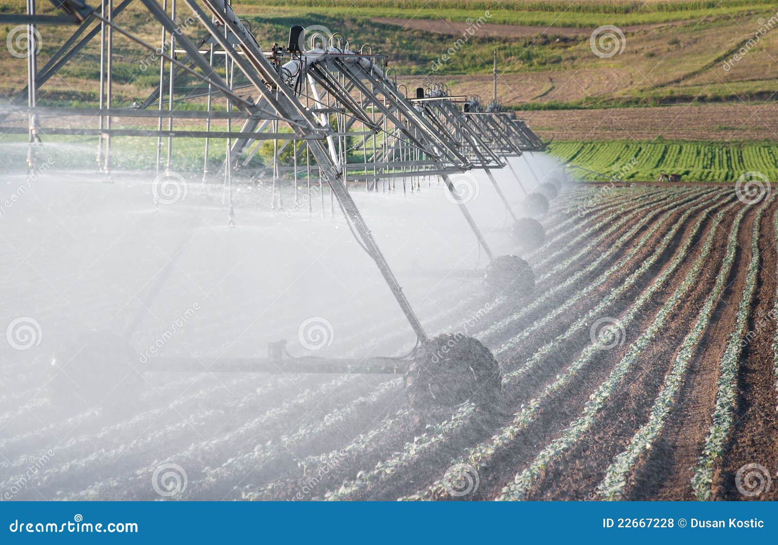 Irrigation Wheel Line stock photo. Image of agriculture - 22667228