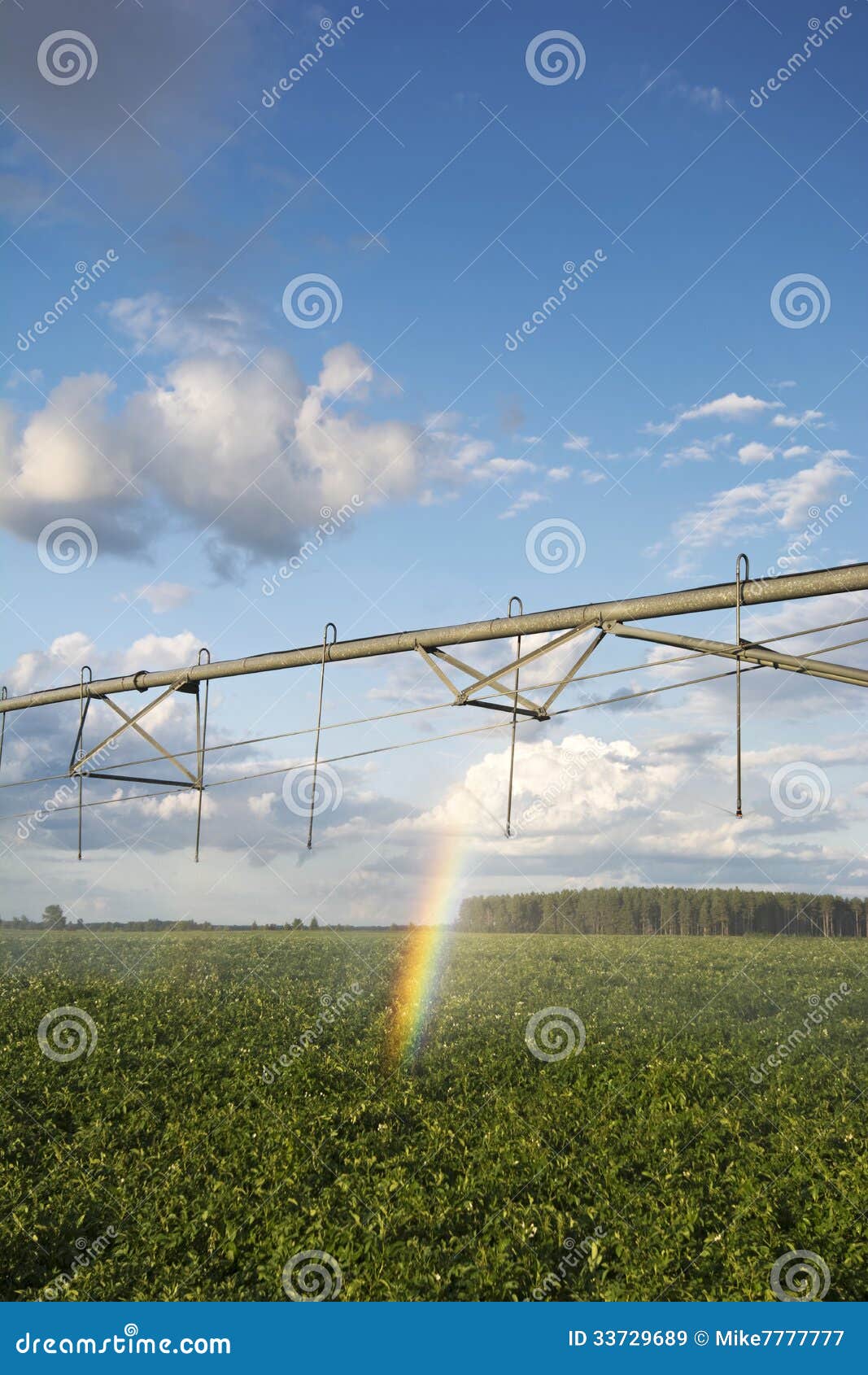 Irrigator, Potato Field with a Rainbow. MIdwest, USA Stock Image ...