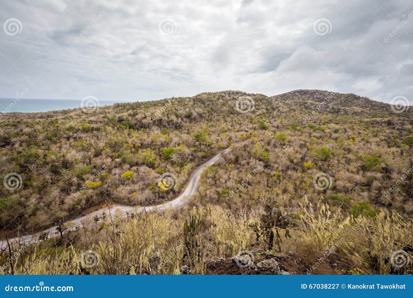 Isabela Island Landscape of Galapagos Stock Image - Image of national ...