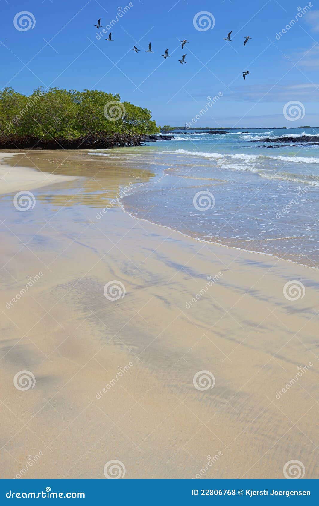 Isabela landscape stock photo. Image of sand, tropical - 22806768