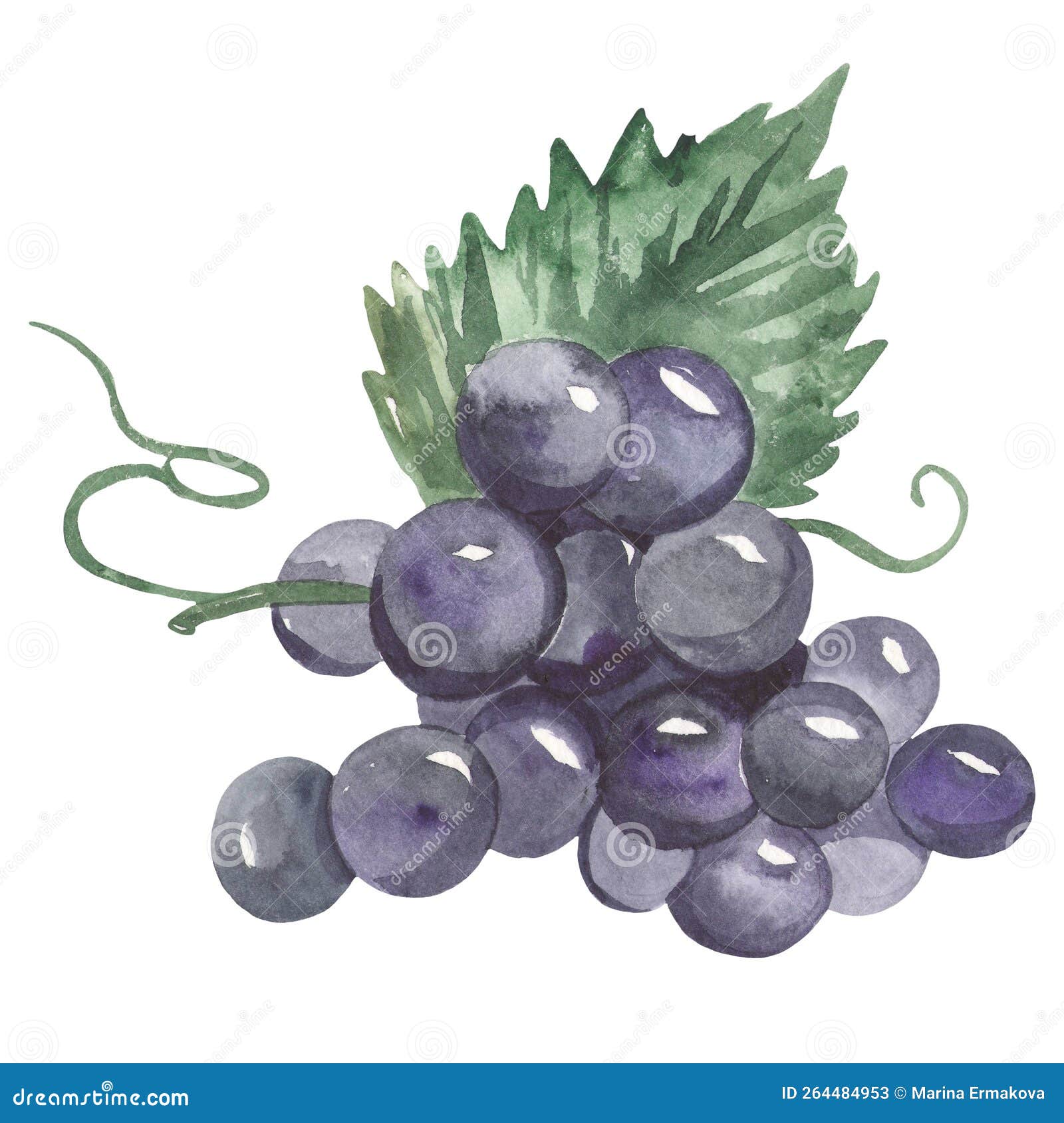 Black Grapes Silhouette Vector Illustrations | CartoonDealer.com #323649664