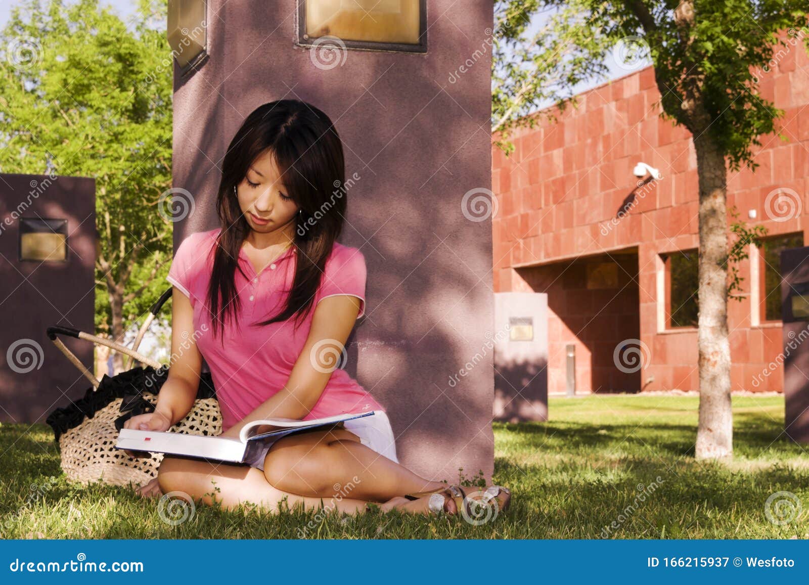 Isabelle studying stock image. Image of grass, woman - 166215937
