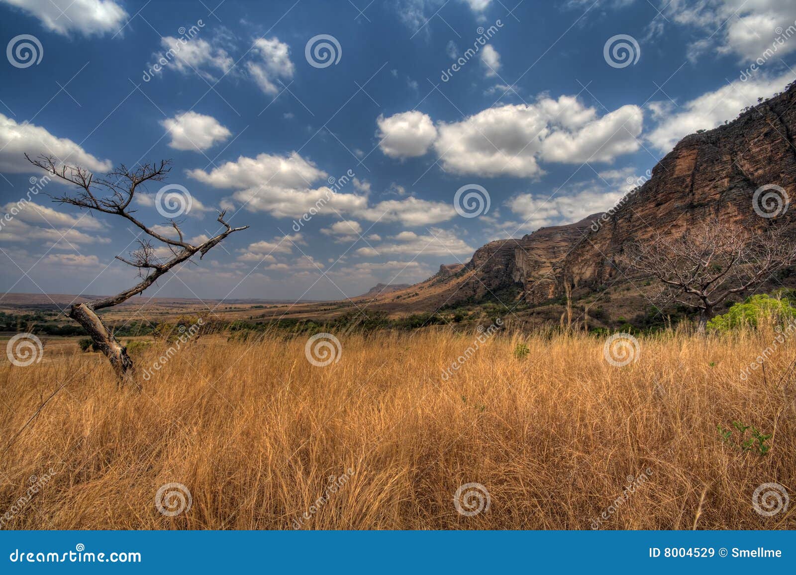 Isalo National Park, Madagascar Stock Image - Image of touristic, grass ...