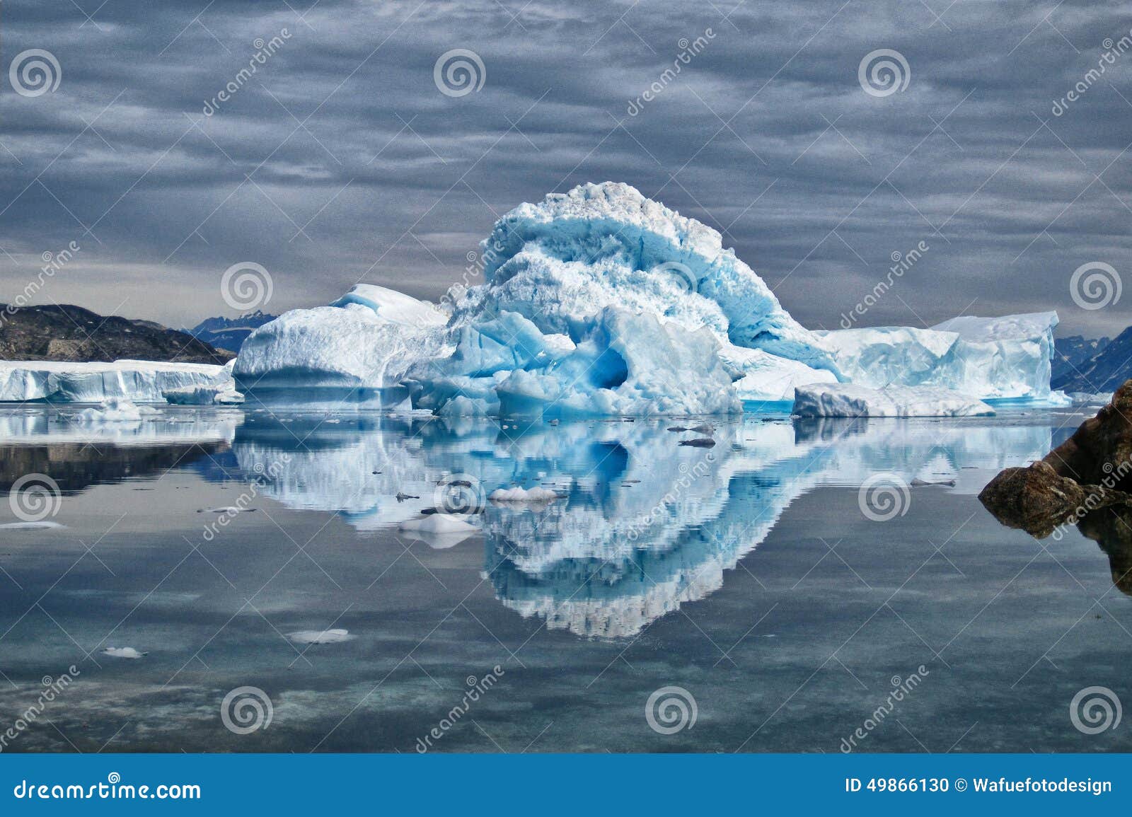 Isberg arkivfoto. Bild av athwart, hylla, kräm, djurliv - 49866130