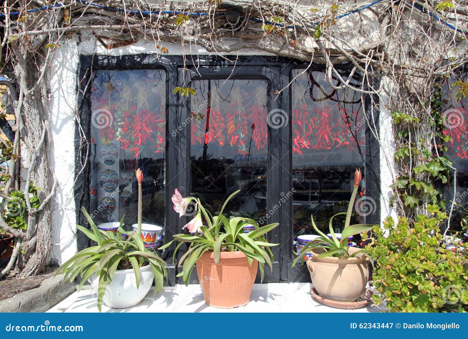 Ischia window stock image. Image of tourism, holidays - 62343447