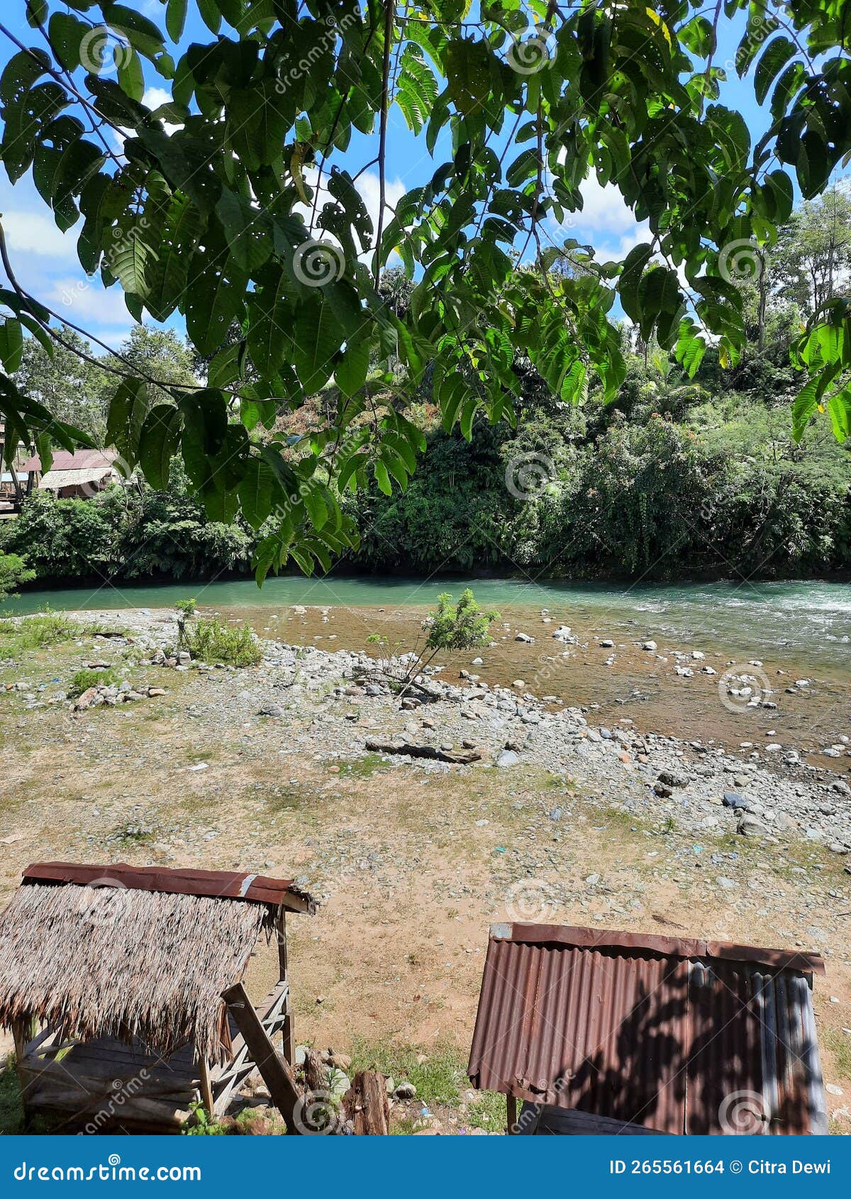 Isep River stock photo. Image of trunk, wall, branch - 265561664