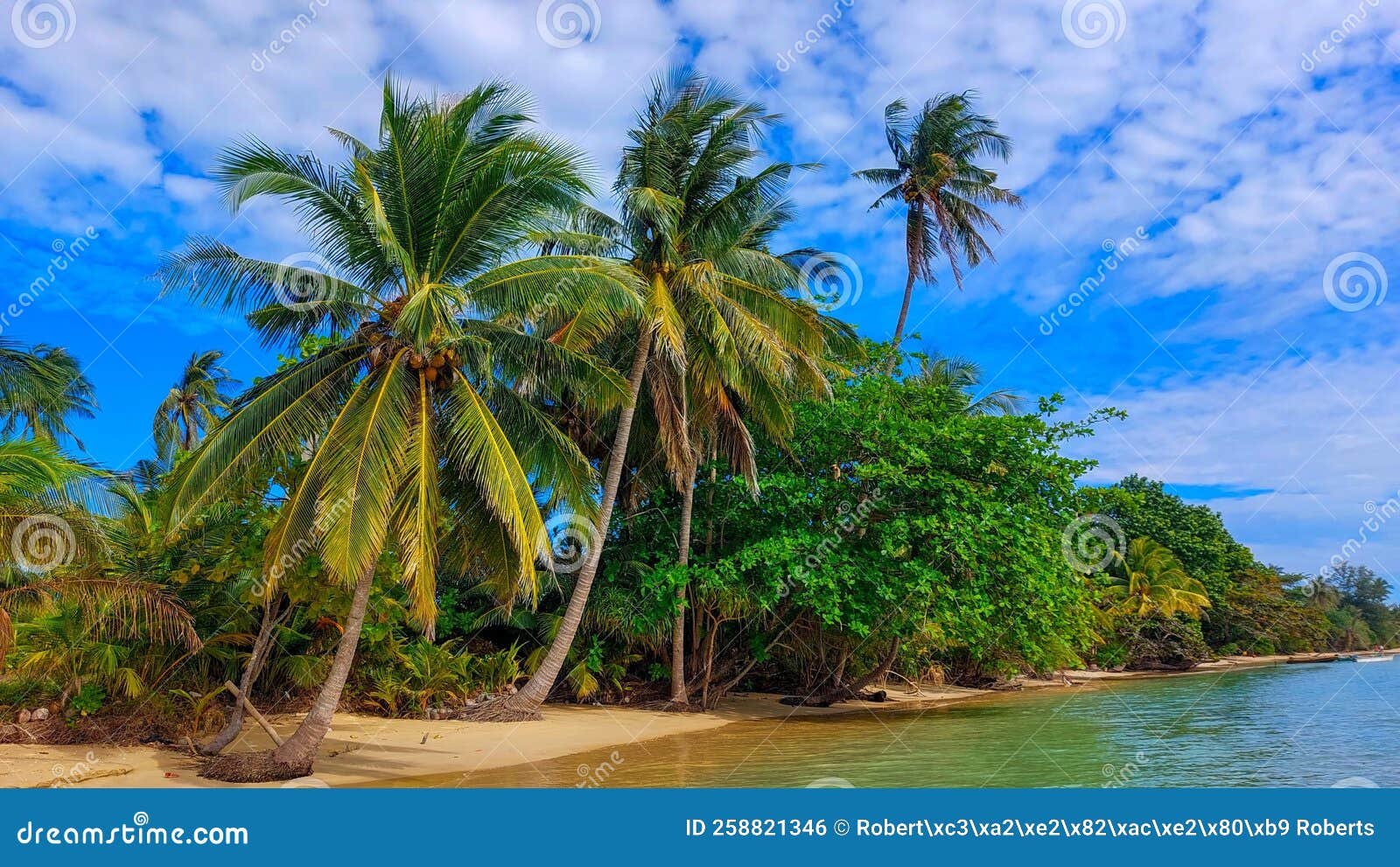Isla Beach Tropical Vibes Thailand Foto de archivo - Imagen de orilla ...