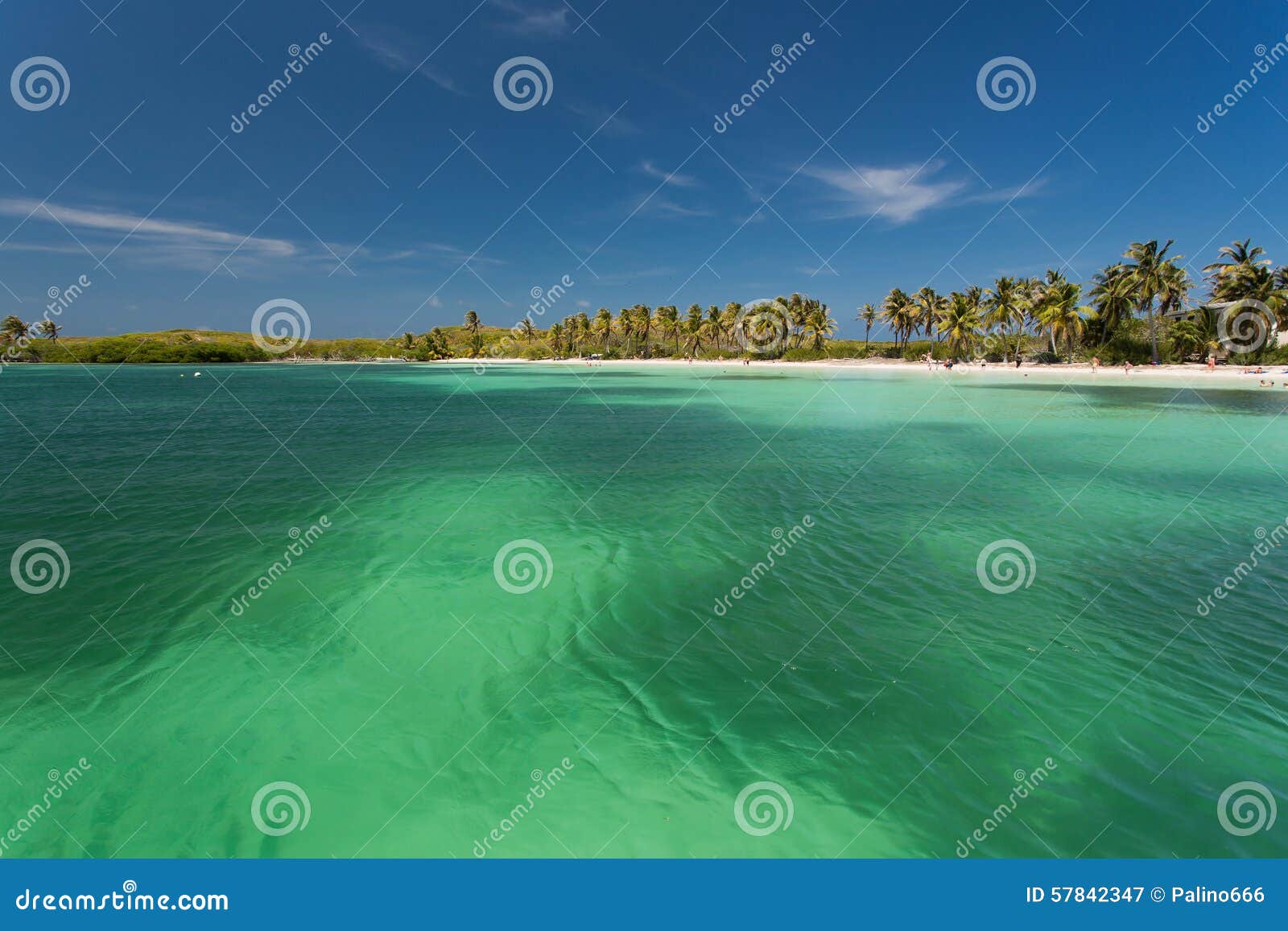 Isla Contoy in Mexico stock image. Image of sunny, mexico - 57842347