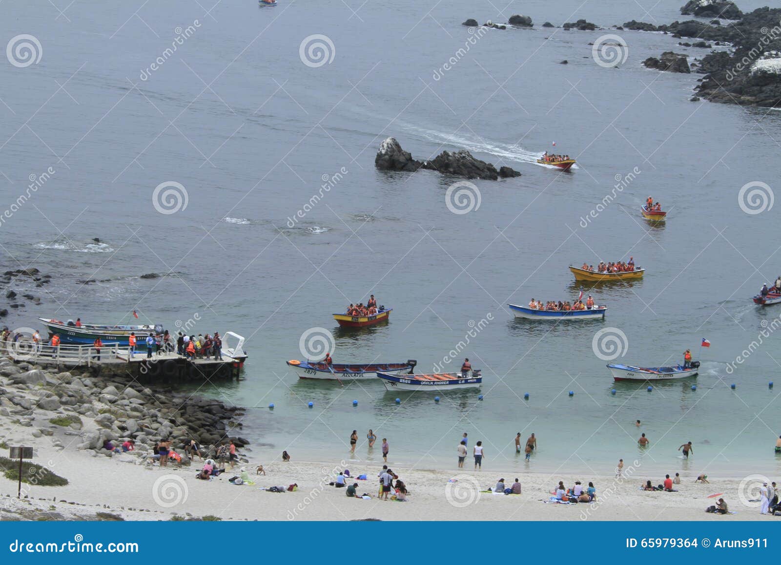 Isla Damas Near La Serena Chile Editorial Stock Image - Image of island ...