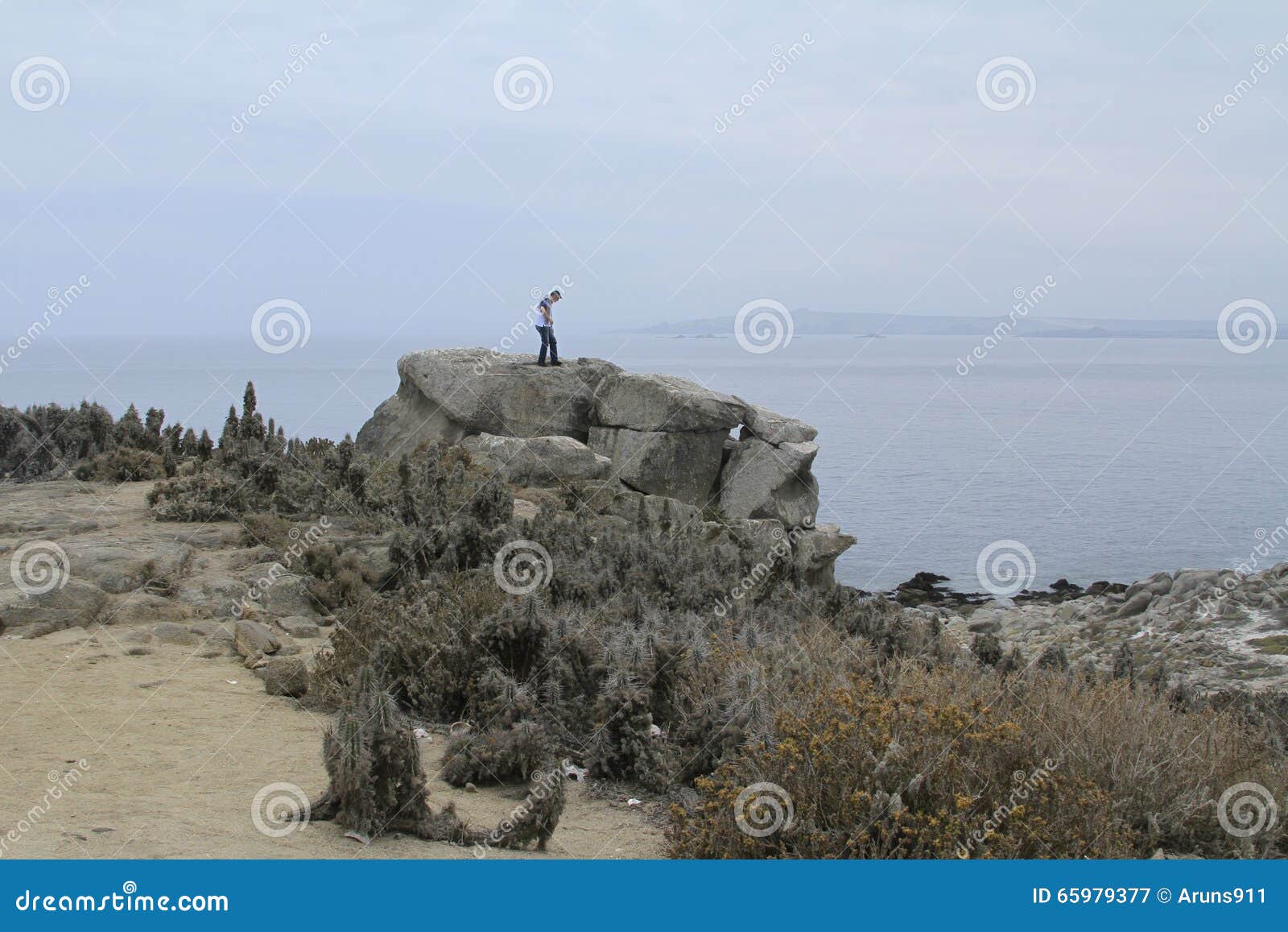 Isla Damas Near La Serena Chile Editorial Photography - Image of ...