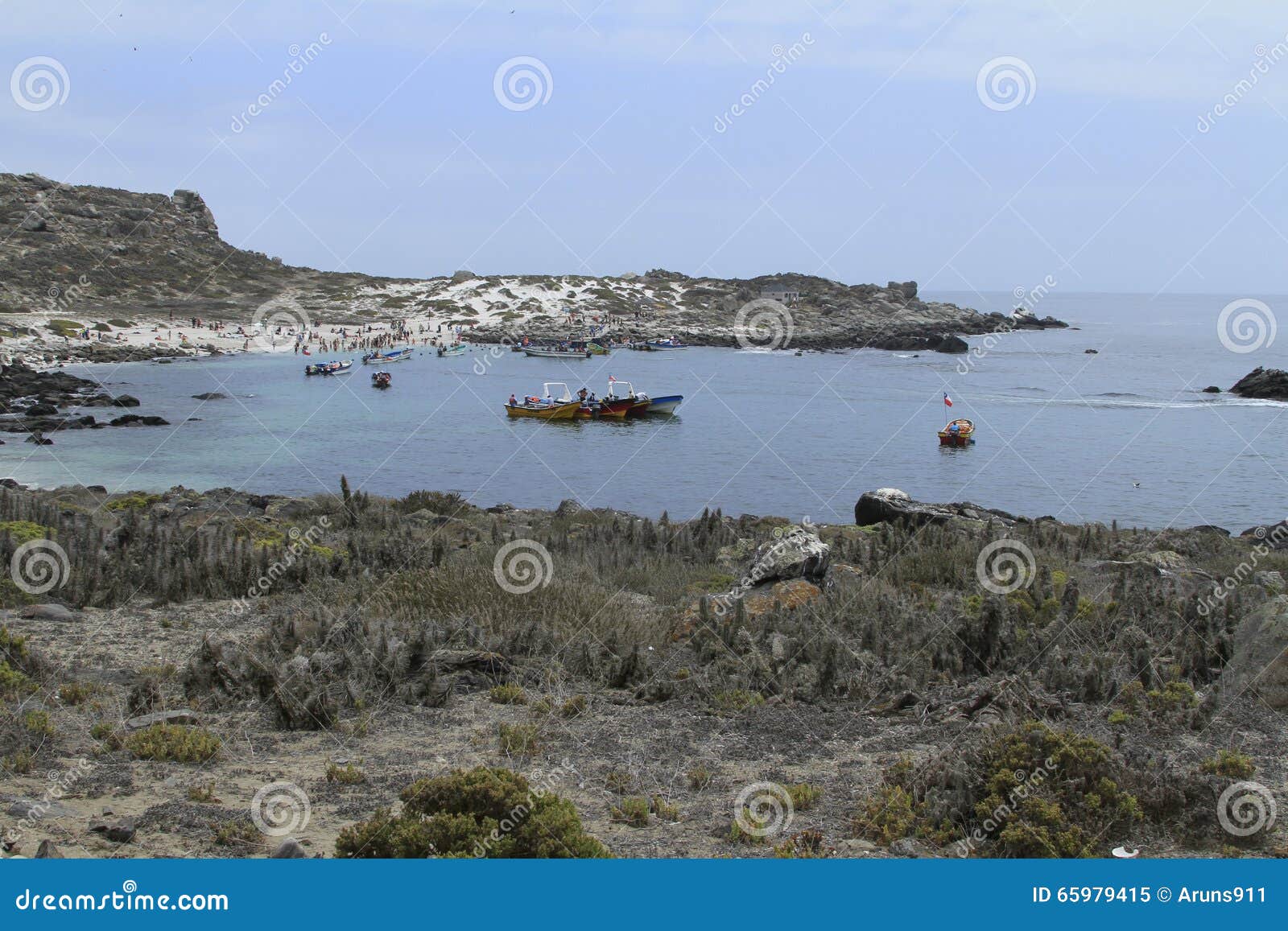 Isla Damas Near La Serena Chile Editorial Image - Image of damas ...