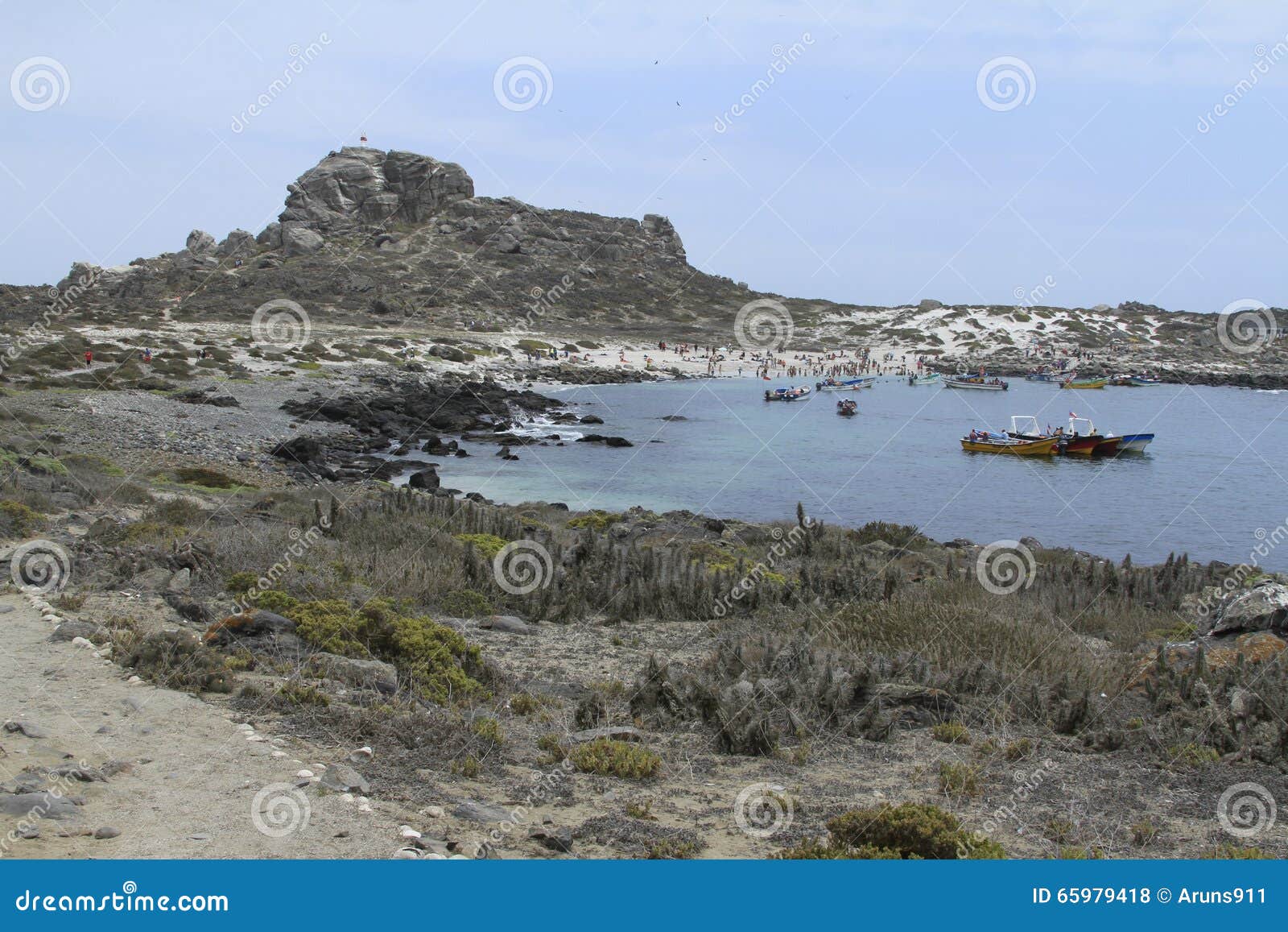 Isla Damas Near La Serena Chile Editorial Stock Photo - Image of ...