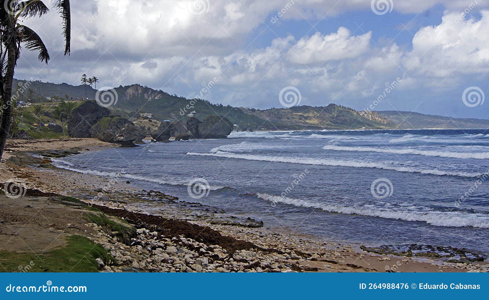 Isla De Barbados En La Costa Este De Basheba Foto de archivo - Imagen ...
