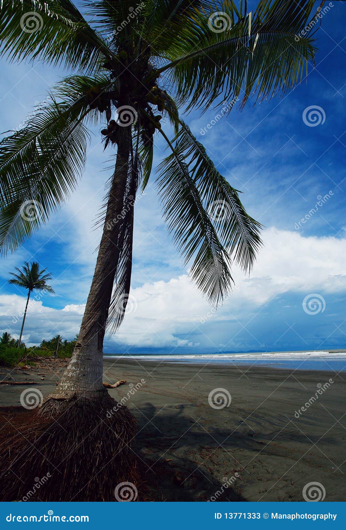 Isla de Garza imagen de archivo. Imagen de cocos, exterior - 13771333