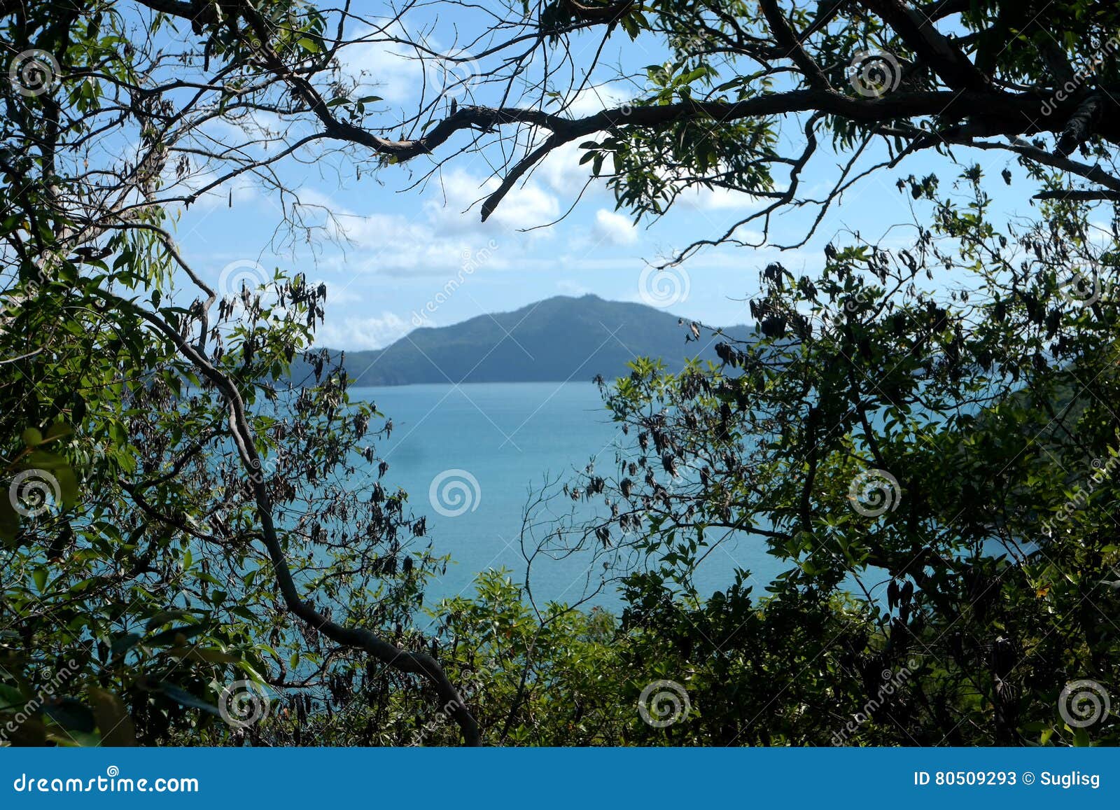 Isla de Hamilton imagen de archivo. Imagen de whitsunday - 80509293
