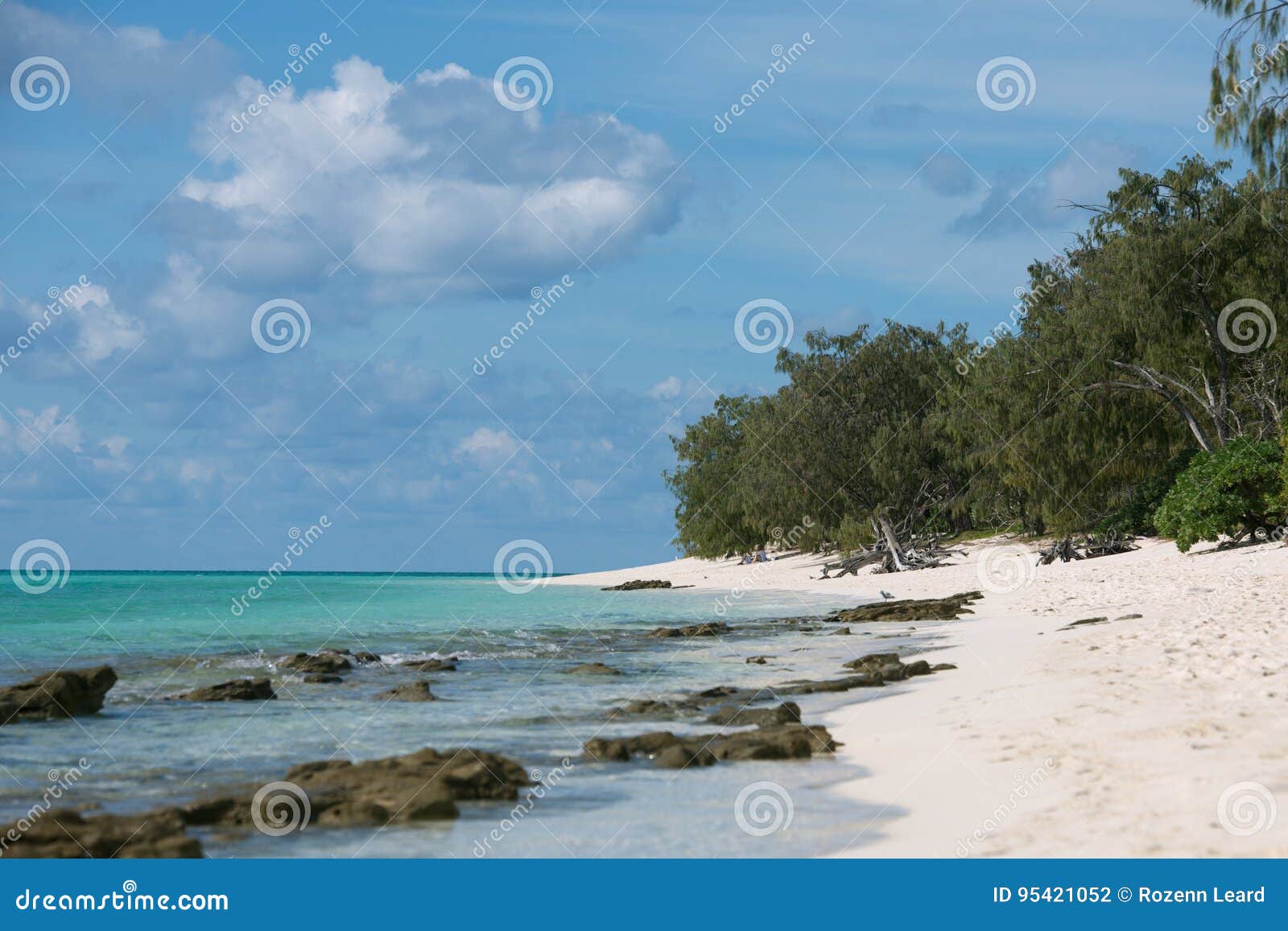 Isla de la garza fotografía editorial. Imagen de meridional - 95421052