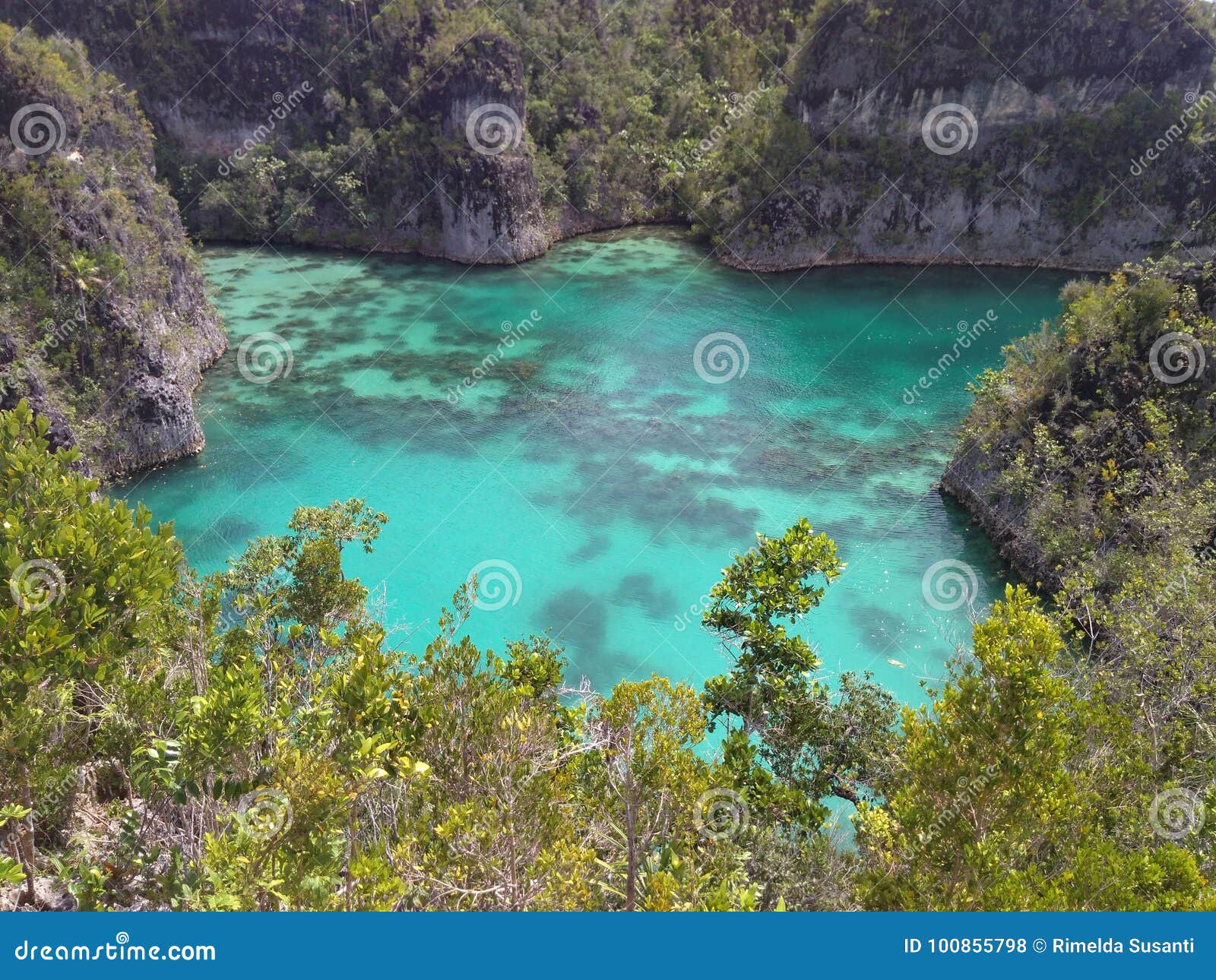 Isla de Piaynemo foto de archivo. Imagen de indonesia - 100855798