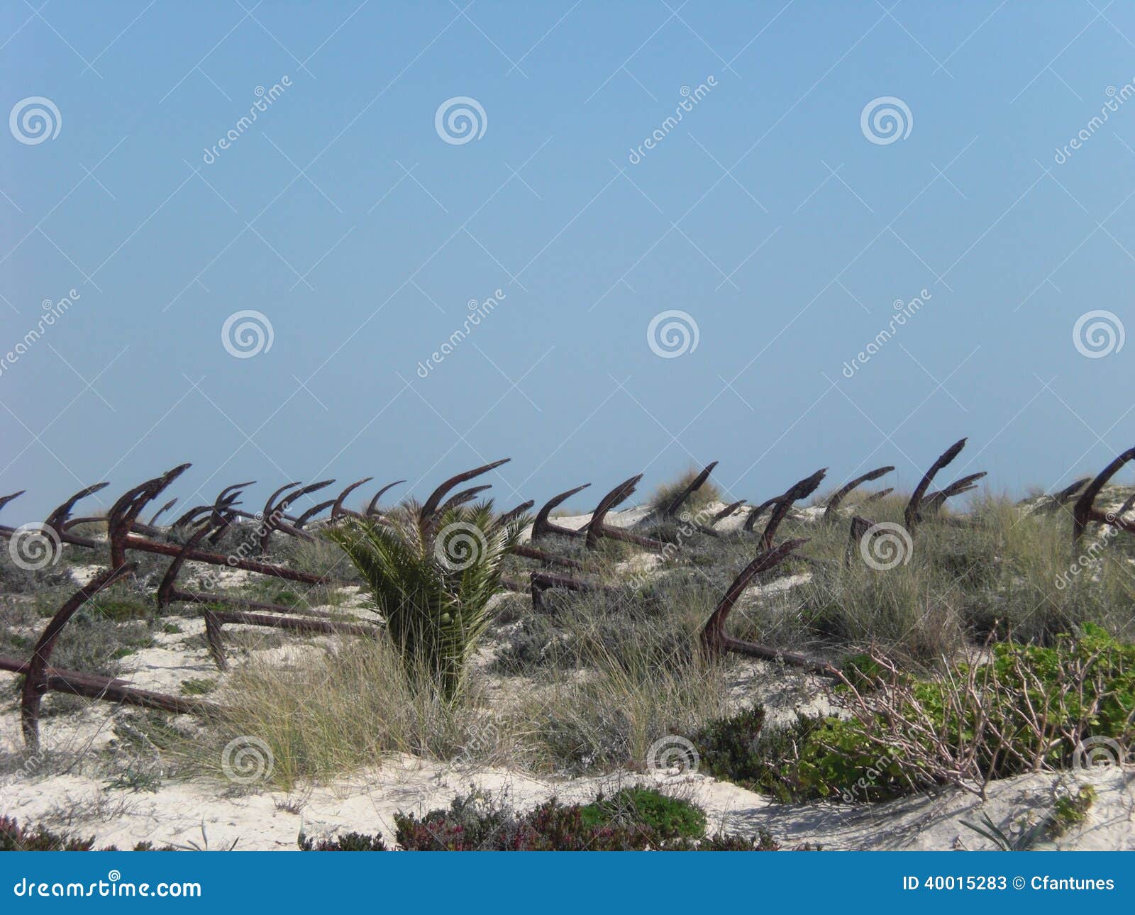 Isla de Tavira imagen de archivo. Imagen de duna, pesca - 40015283