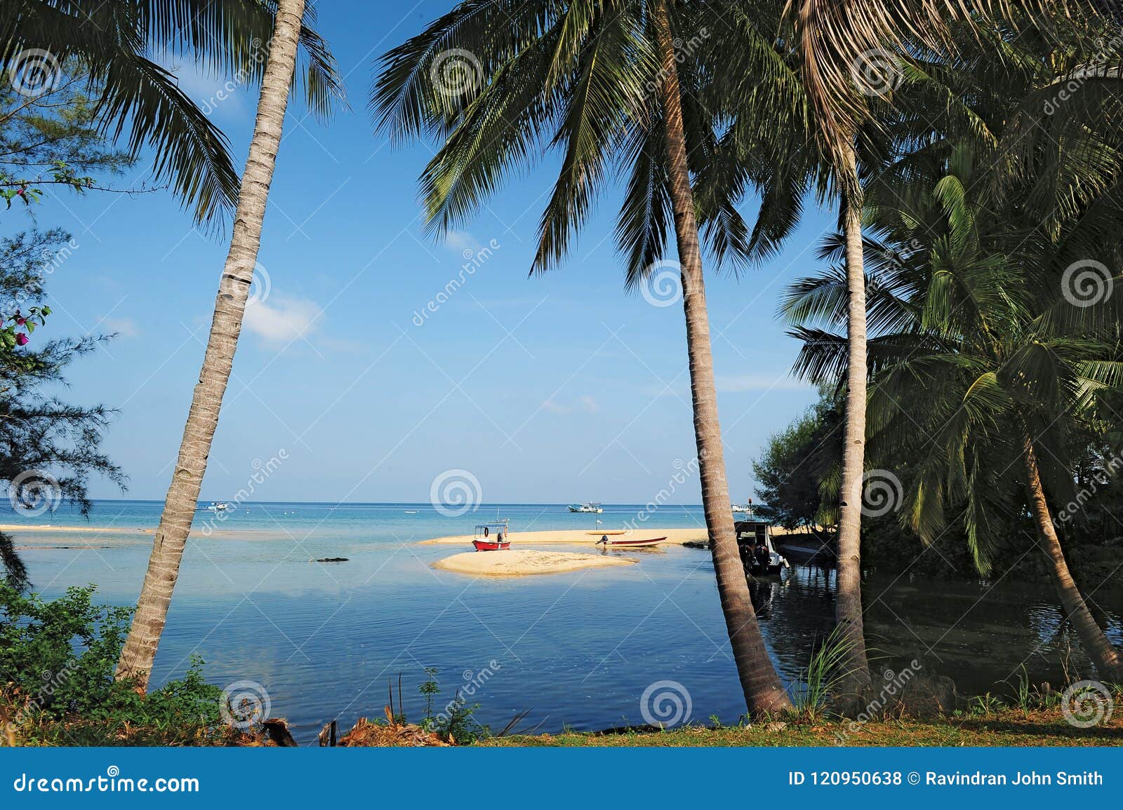 Isla de Tioman foto de archivo editorial. Imagen de corales - 120950638