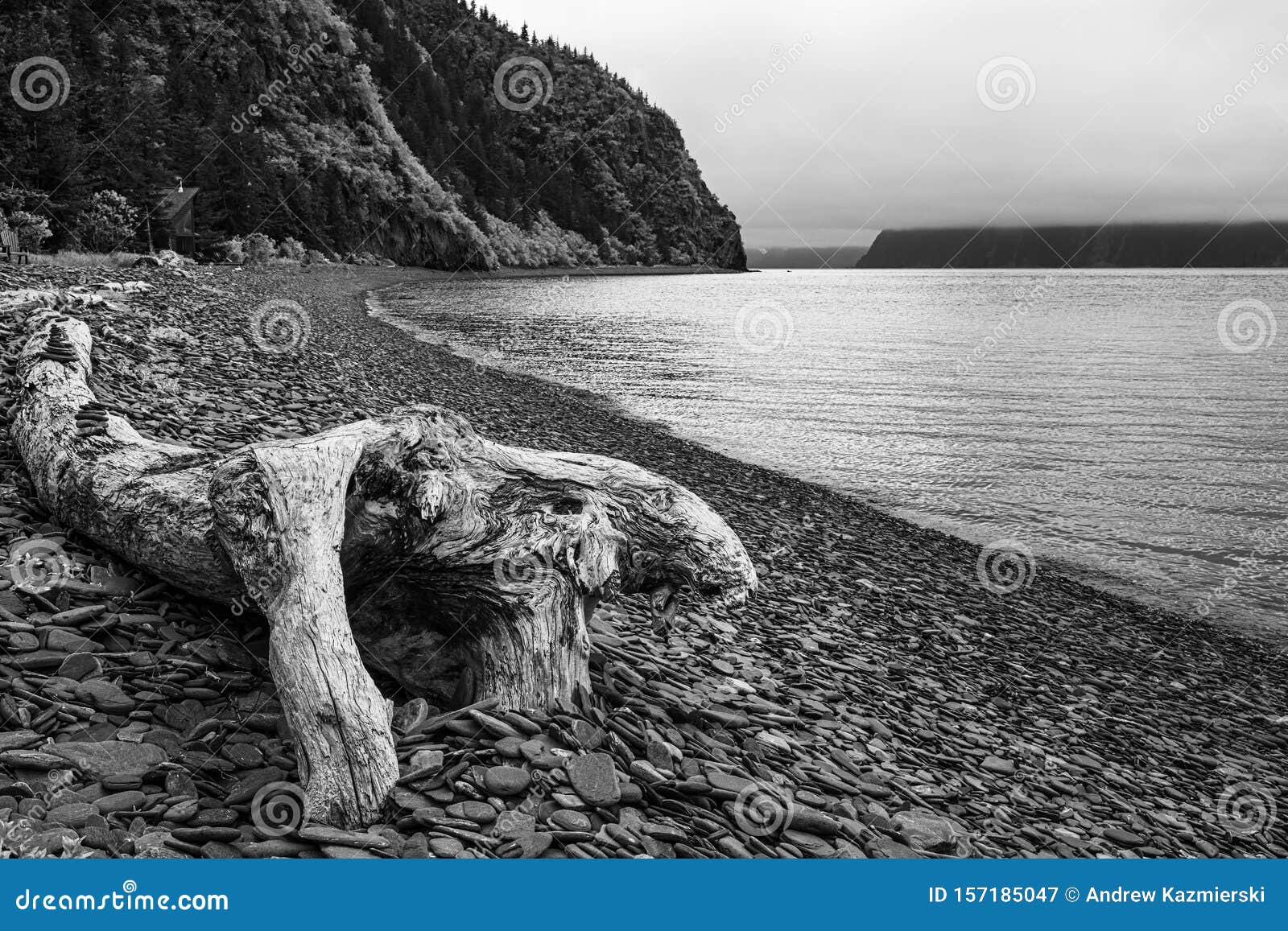 Isla Fox De La Madera Muerta Imagen de archivo - Imagen de playa, rocas ...
