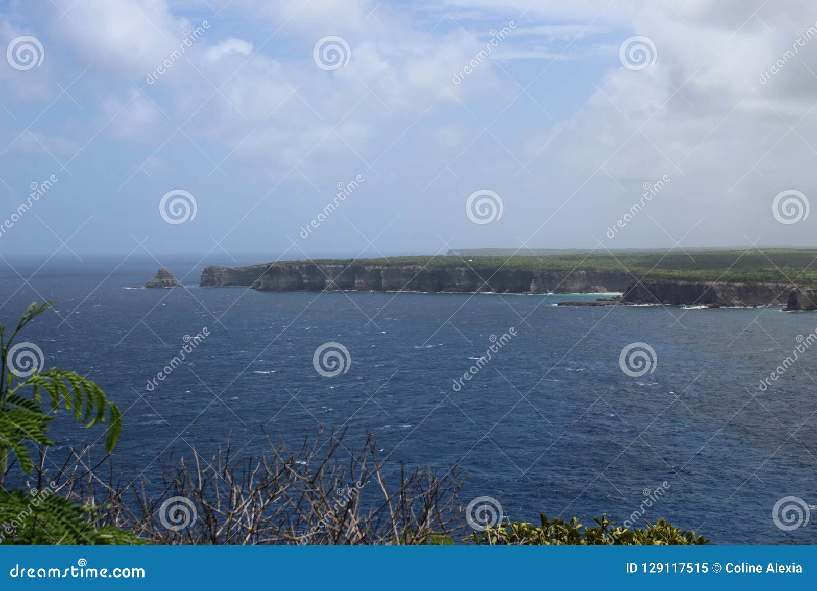 Isla Guadalupe imagen de archivo. Imagen de isla, guadalupe - 129117515