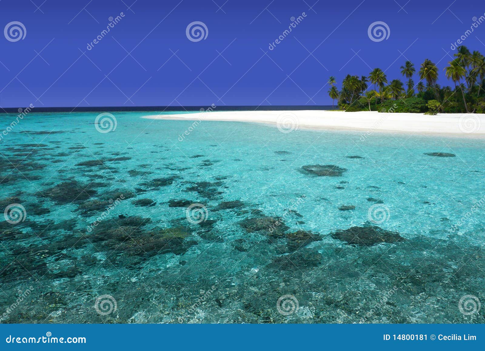 Isla hermosa imagen de archivo. Imagen de caliente, relaje - 14800181