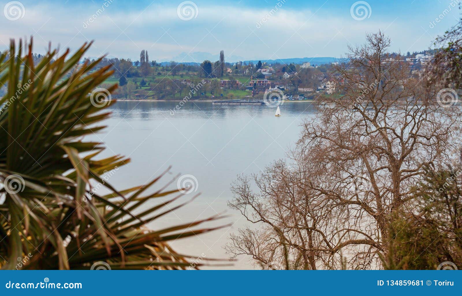 Isla Mainau de la flor imagen de archivo. Imagen de flores - 134859681