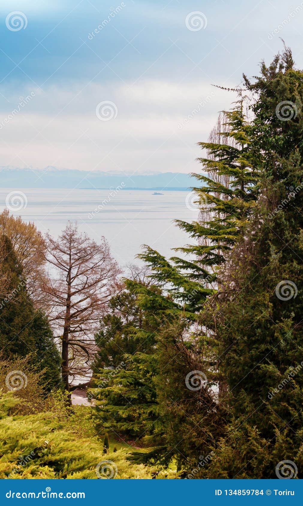 Isla Mainau de la flor foto de archivo. Imagen de cubo - 134859784