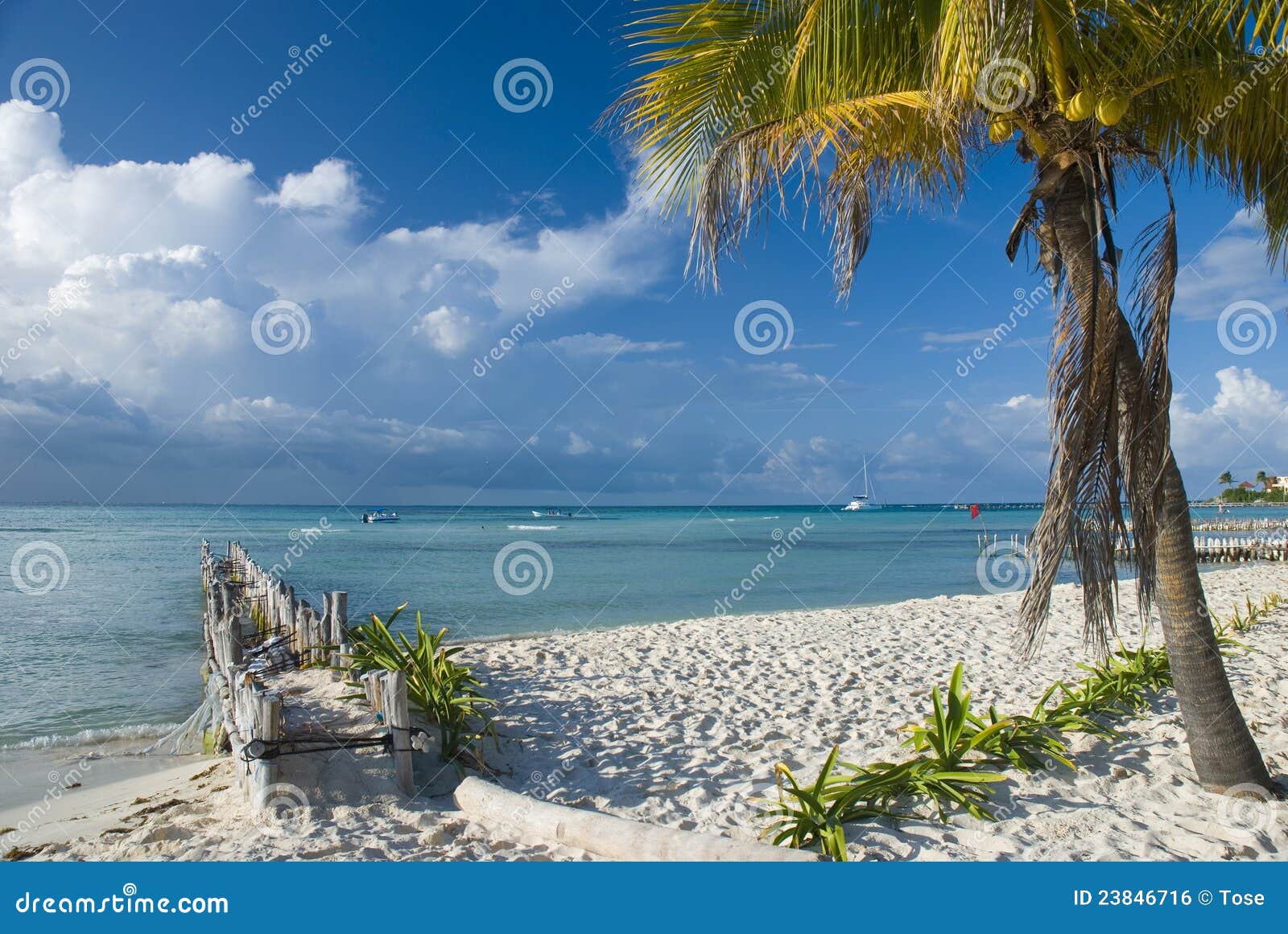 Isla Mujeres Strand in Cancun, Mexiko Stockfoto - Bild von strand ...