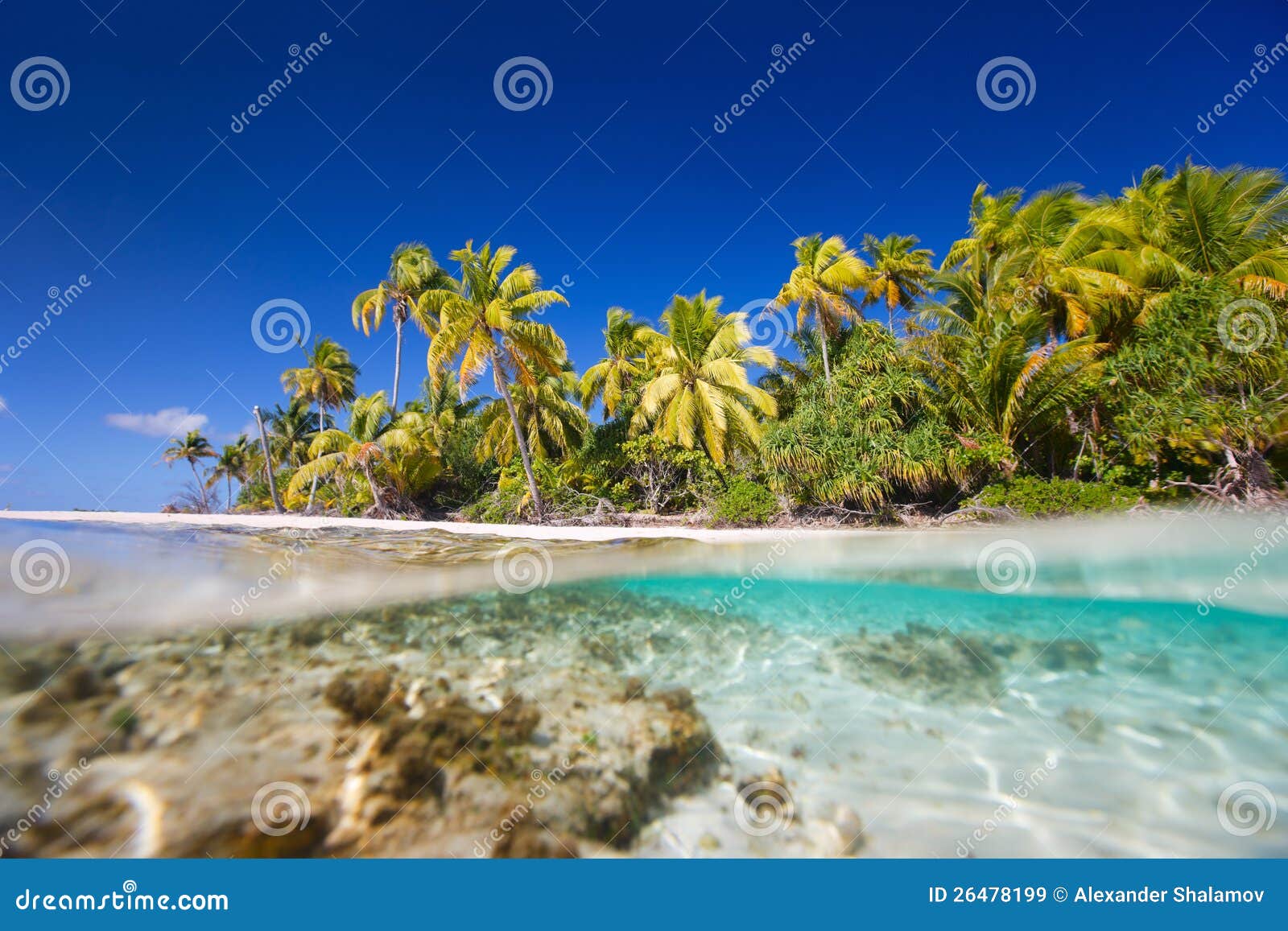 Isla tropical imagen de archivo. Imagen de vacaciones - 26478199