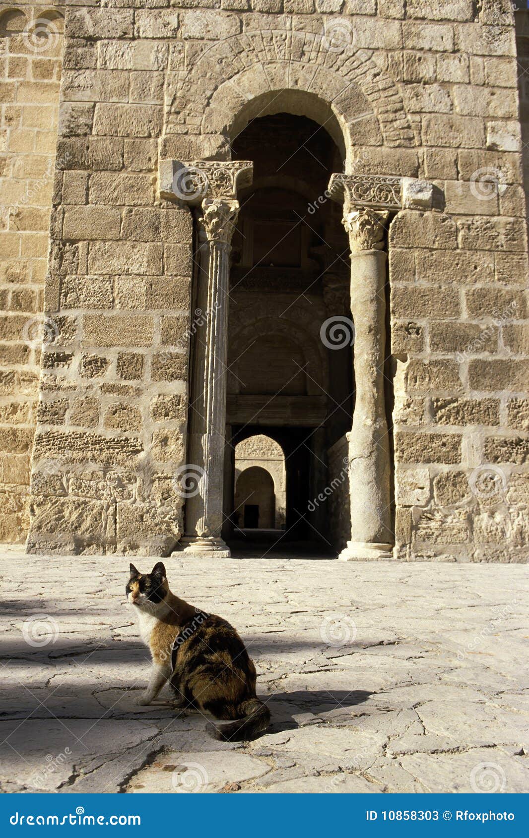 Islamic fort- Tunisia stock image. Image of color, medina - 10858303