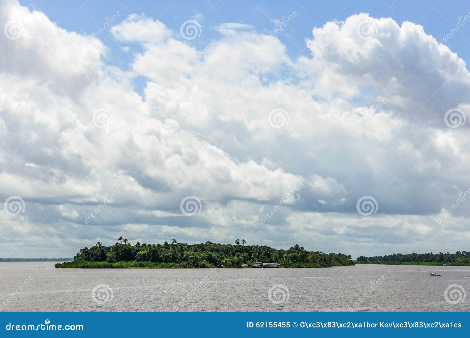 Island on the Amazon River, Brazil Stock Image - Image of water ...
