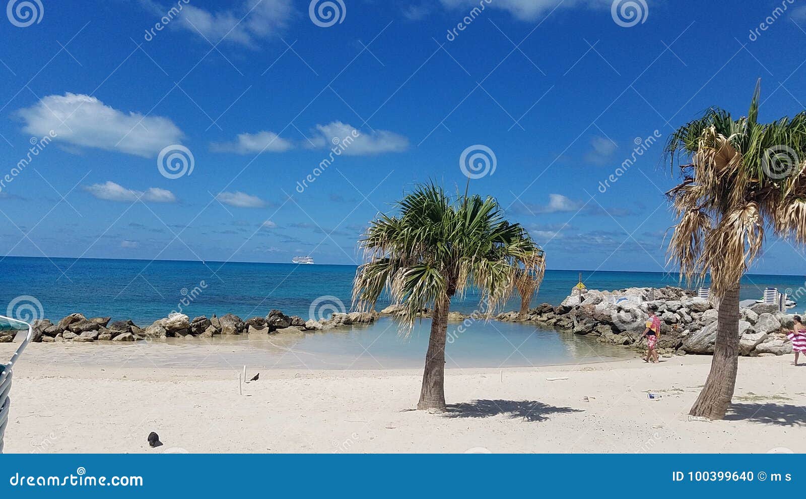 Island Beach with Palm Trees Editorial Image - Image of bermuda, trees ...