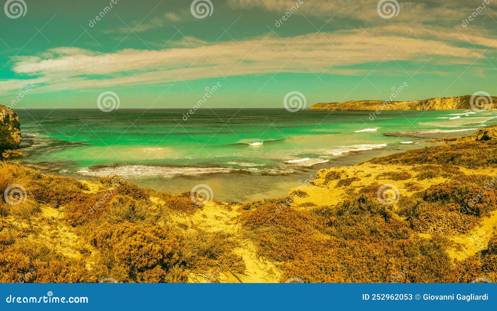 Island Beach Panoramic View with Ocean and Vegetation Stock Image ...