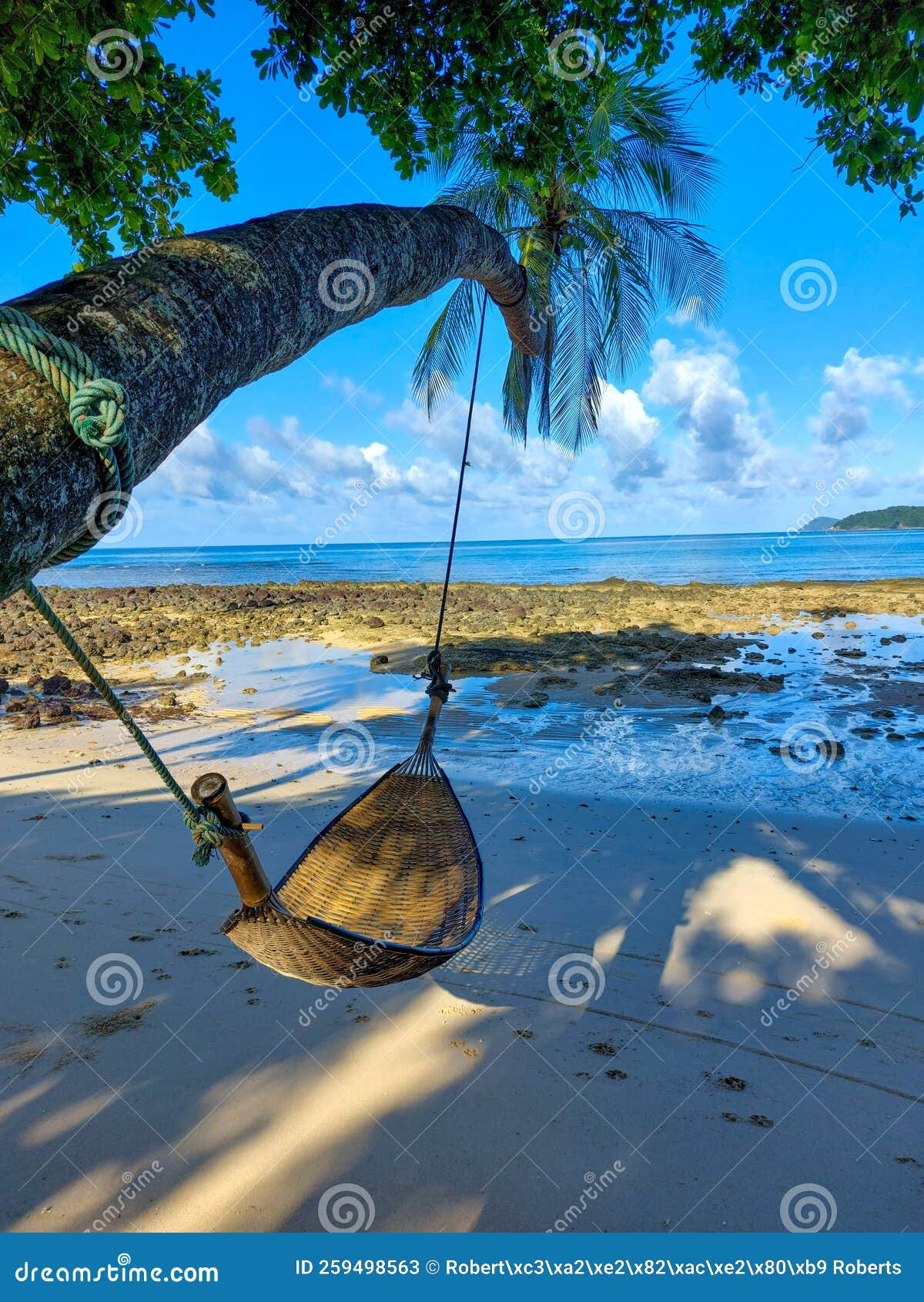 Island Beach Tropical Holiday Vibes Stock Image - Image of ocean ...