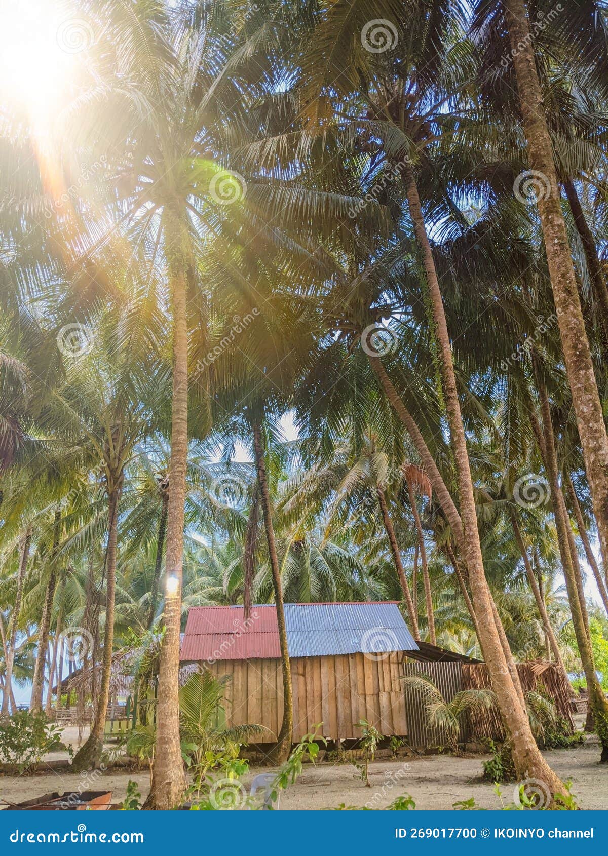 Island and Coconut Trees and a Hut in Front of Which There is a Very ...