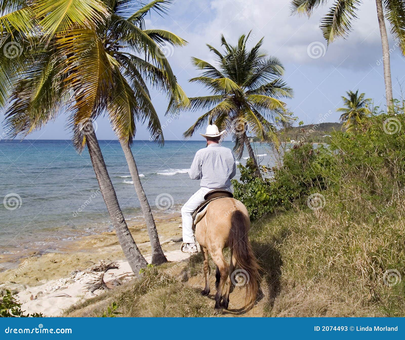 Island Cowboy by the Ocean stock image. Image of lifestyle - 2074493