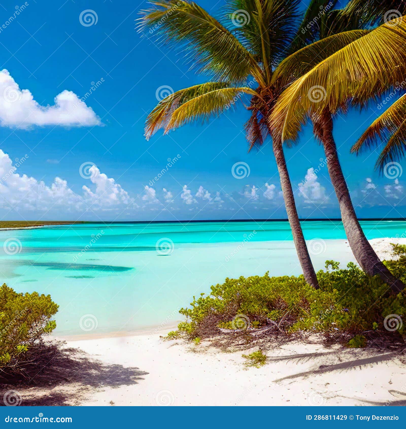 Island of Eleuthera stock image. Image of sunlight, relaxation - 286811429