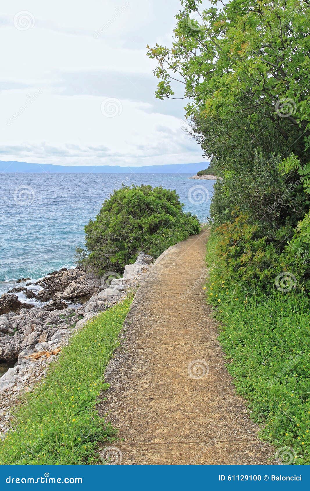 Island Hiking Trail stock photo. Image of croatia, cres - 61129100