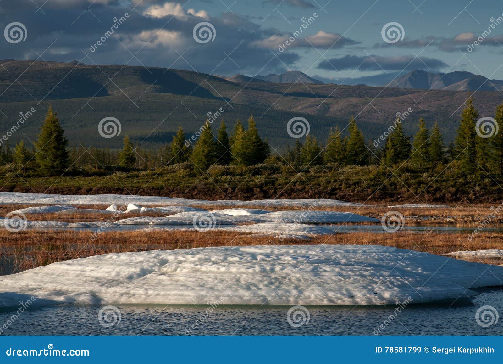 The Island of Ice in a Large Puddle. Stock Image - Image of spring ...