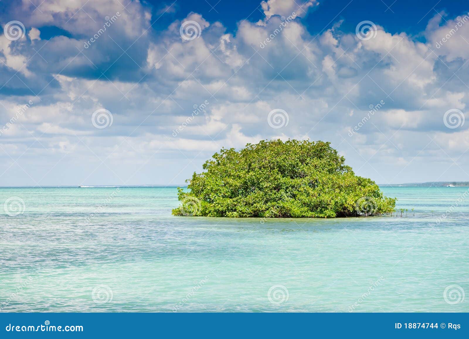 Island of Mangrove Green Forest in a Blue Ocean Stock Photo - Image of ...