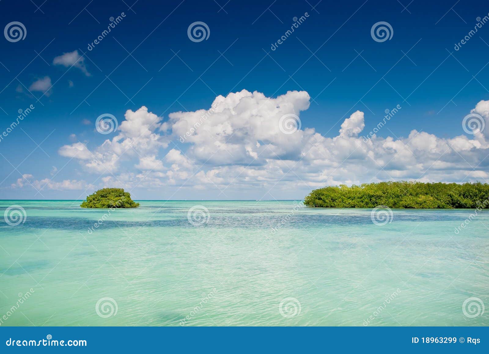 Island of Mangrove Green Forest in a Blue Ocean Stock Image - Image of ...