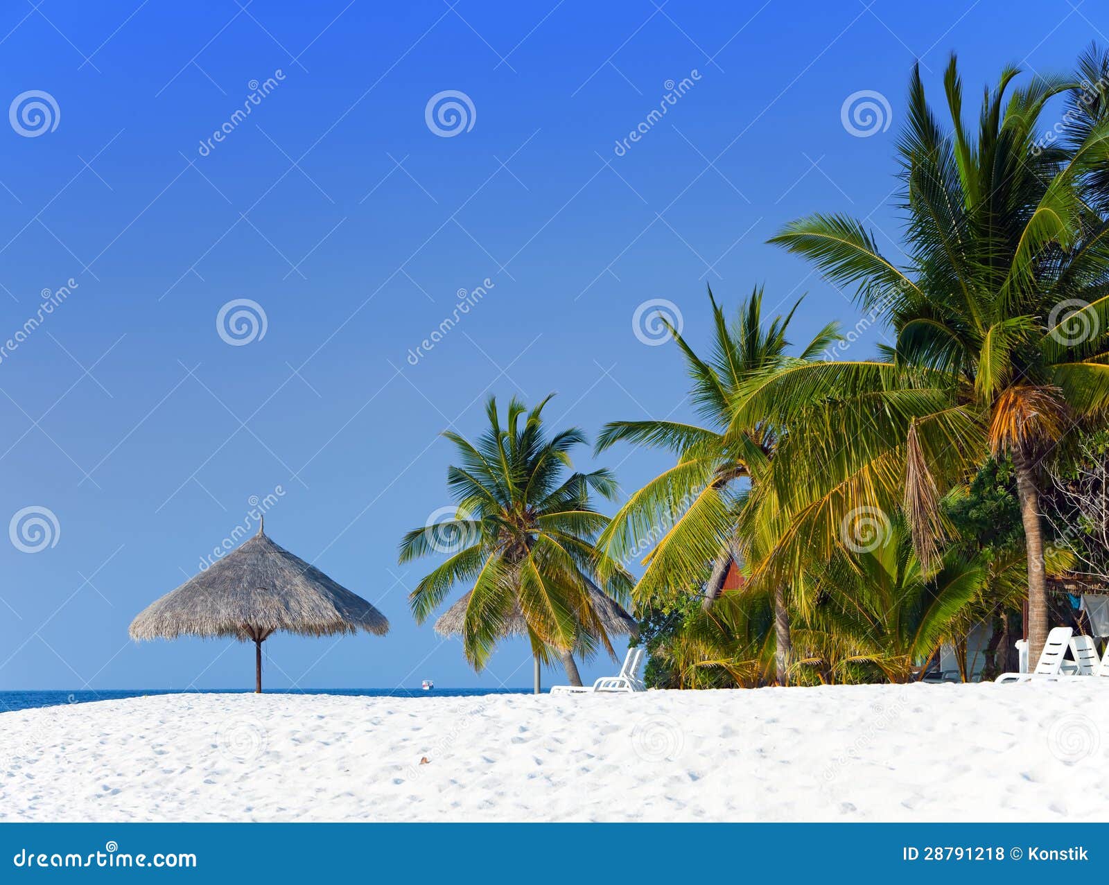 The Island with Palm Trees in the Ocean Stock Photo - Image of idyllic ...