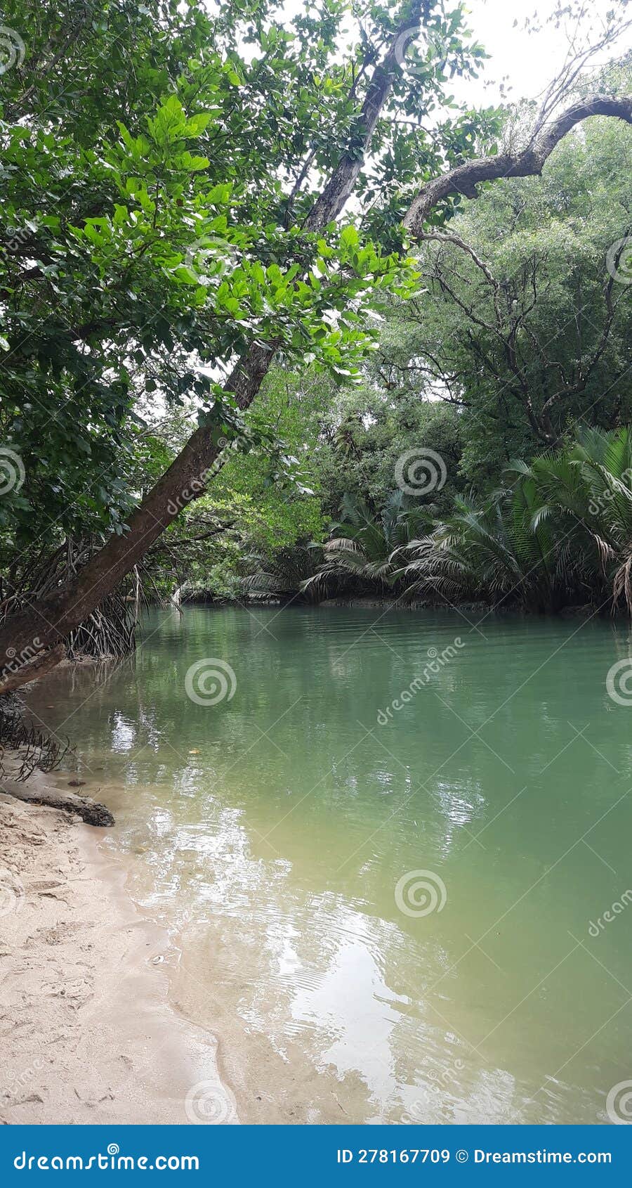 An Island with a River Connected Directly To the Sea. Stock Image ...