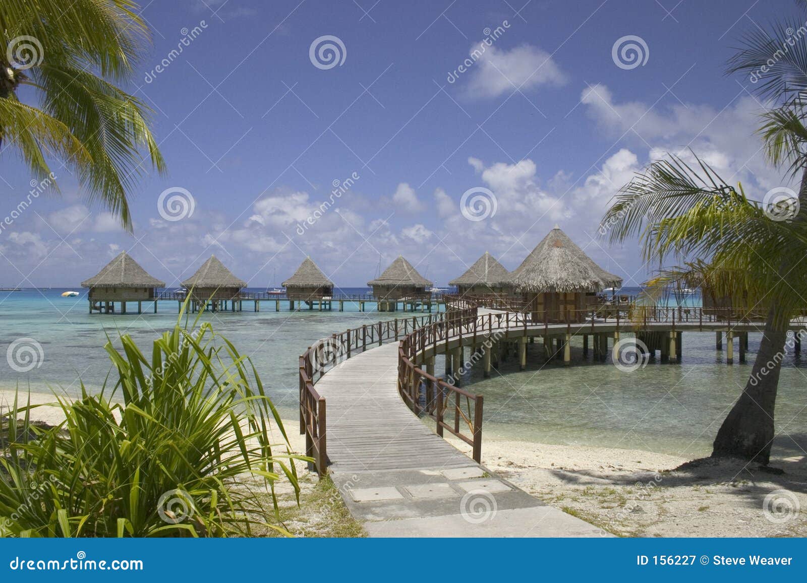 Island in the Sun stock image. Image of swim, pacific, beach - 156227