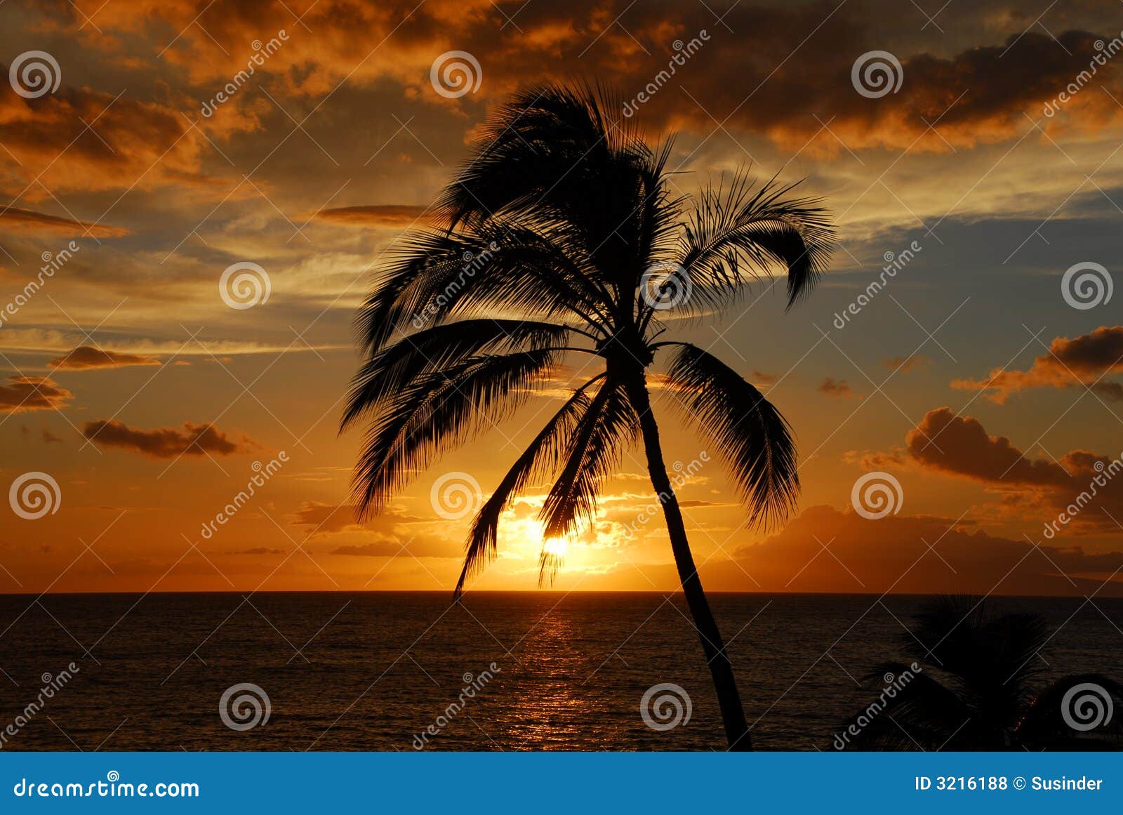 Island Sunset stock photo. Image of sunset, serene, dusk - 3216188