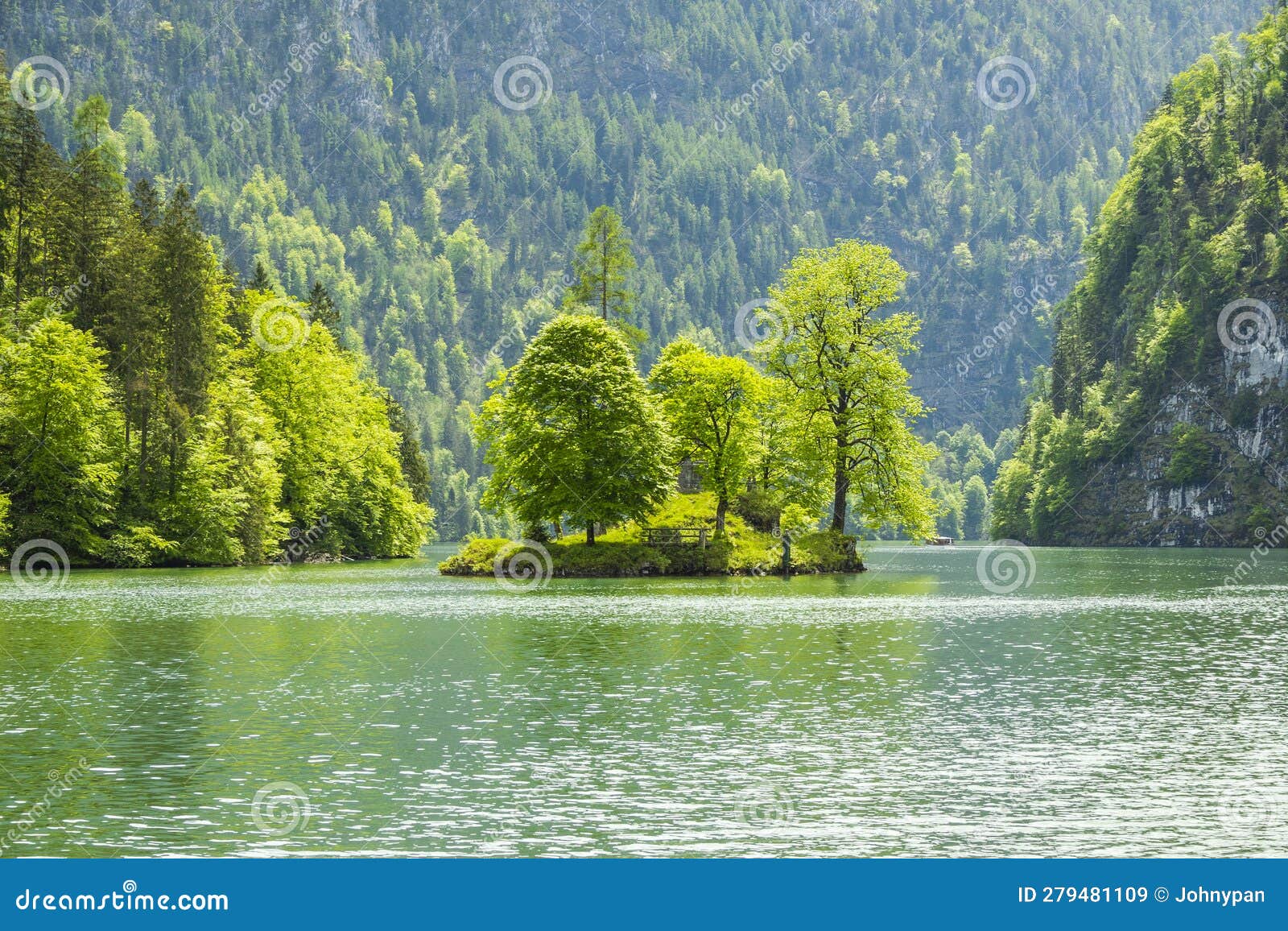 Island with trees stock image. Image of tree, hill, beautiful - 279481109