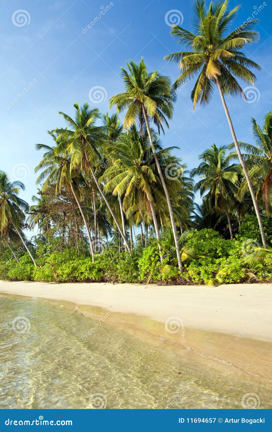Island Tropical Shore stock image. Image of coast, island - 11694657