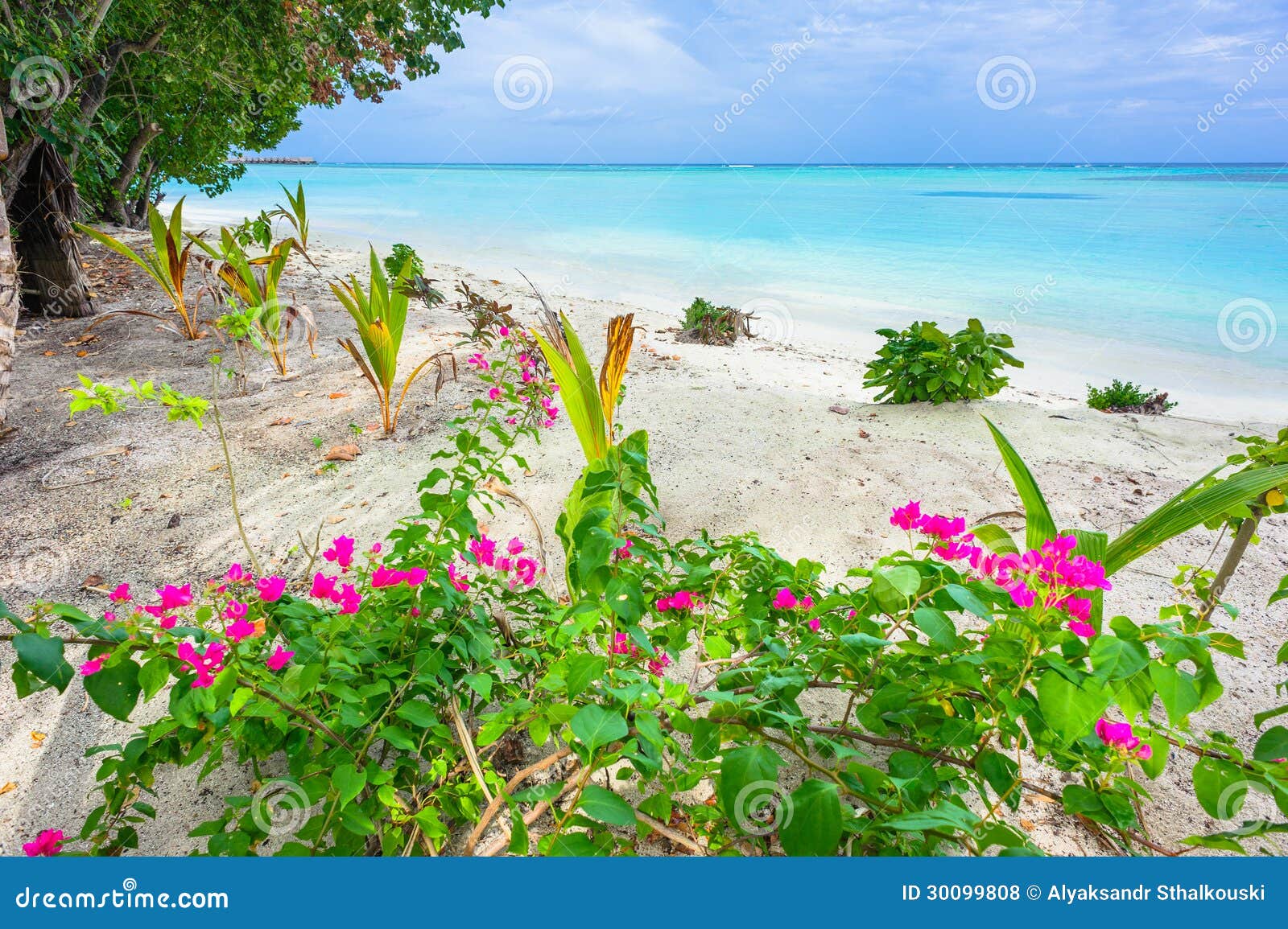 Tropical island stock photo. Image of summer, islands - 30099808